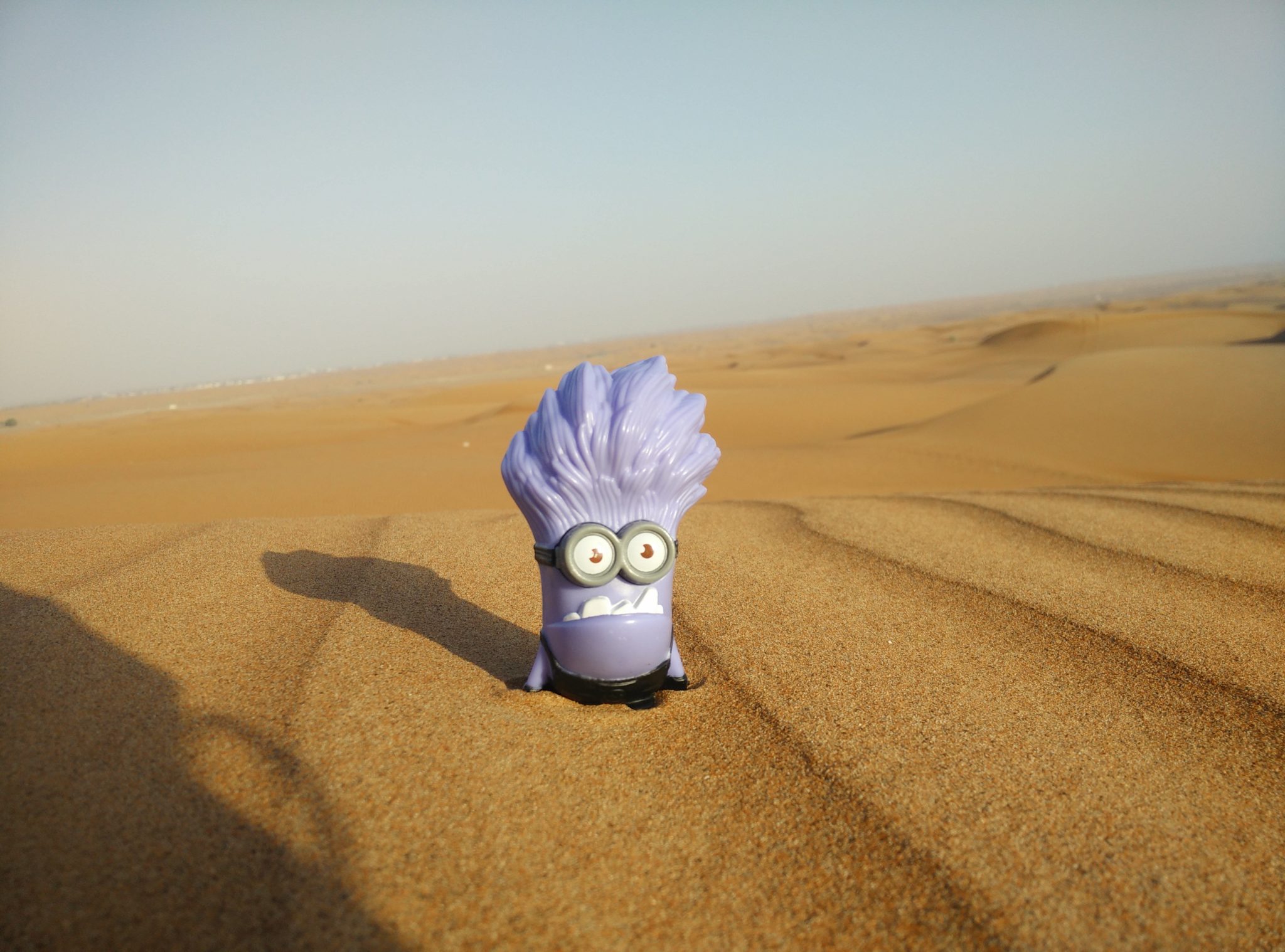 United Arab Emirates, Desert Safari and Malls - Travelling Minions