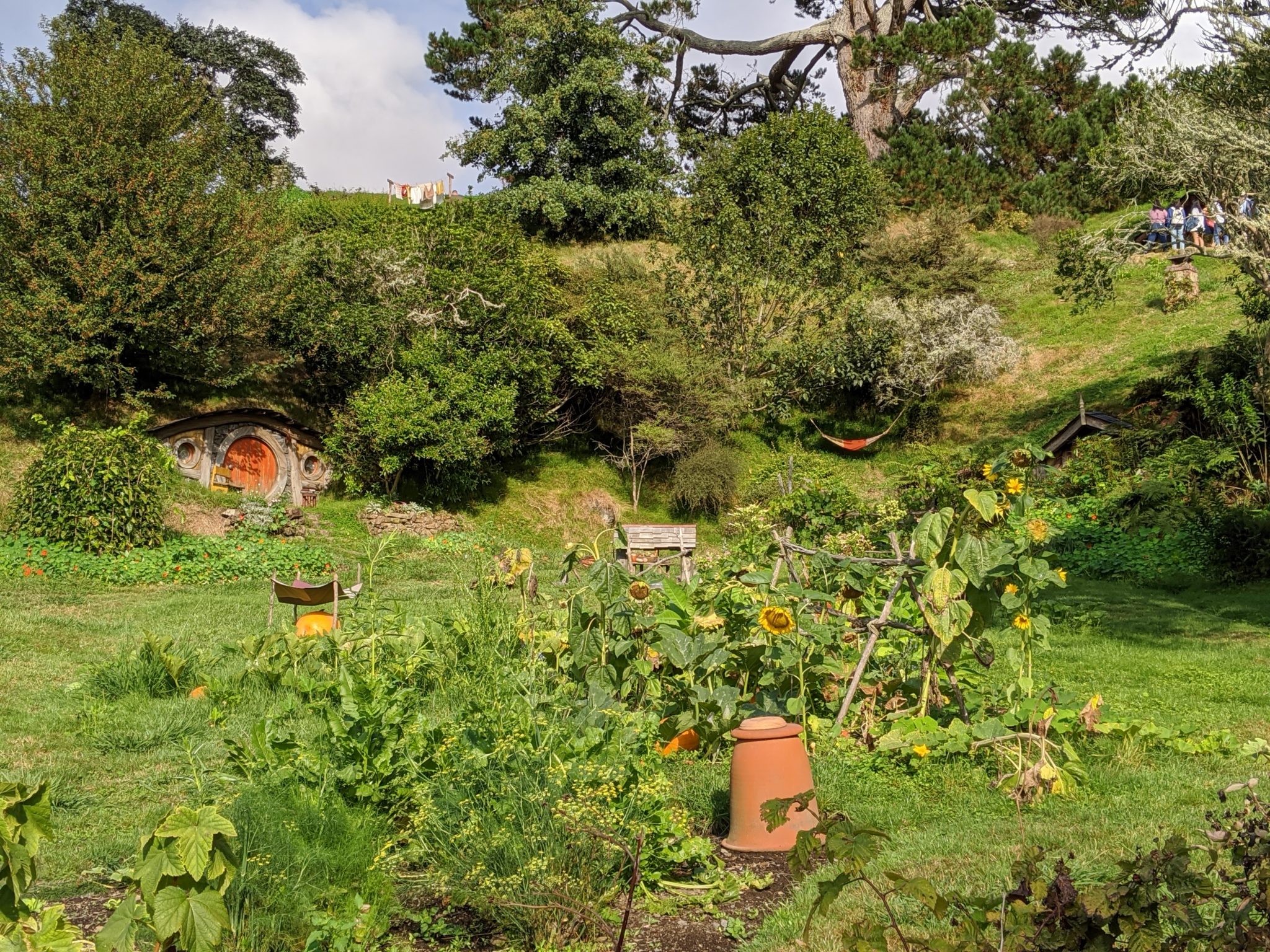 Hobbiton and Luging - Travelling Minions