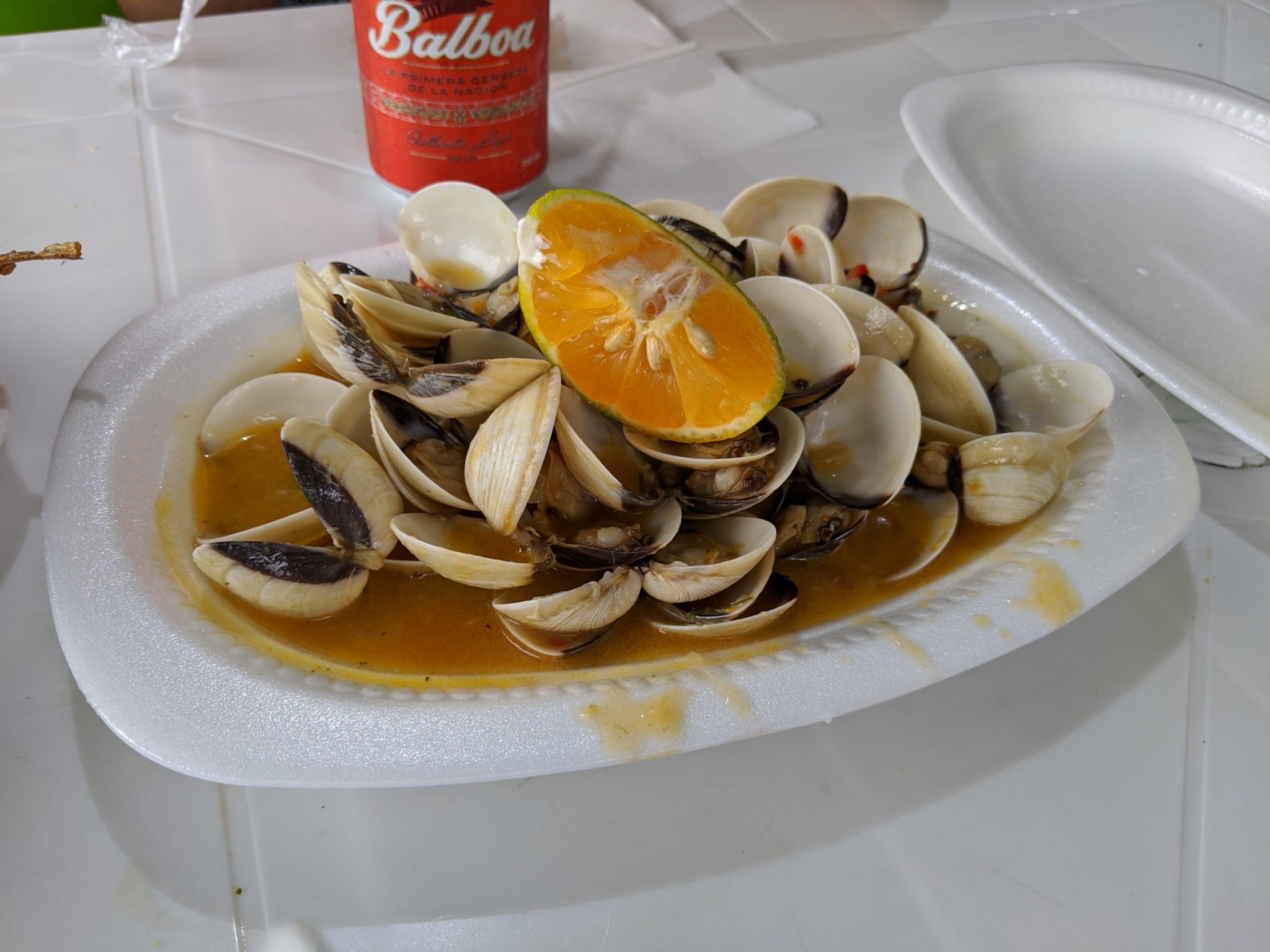 Minion Monies: How much did my 2019 trip to Panama Cost? - Travelling ...