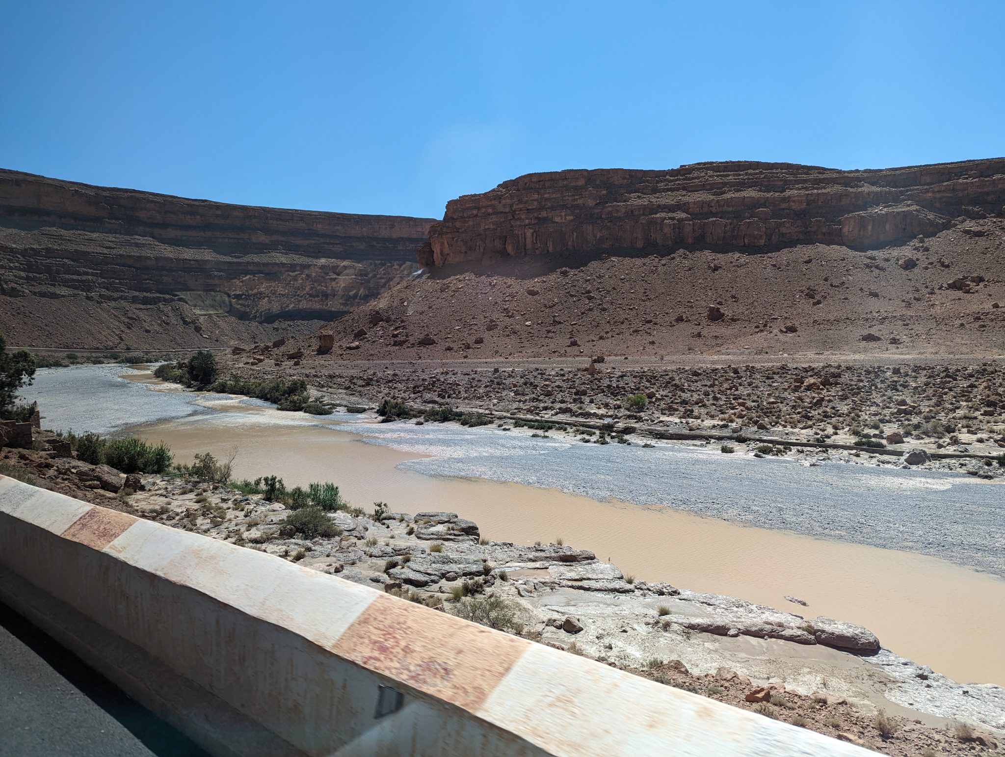The Sahara Desert - Travelling Minions