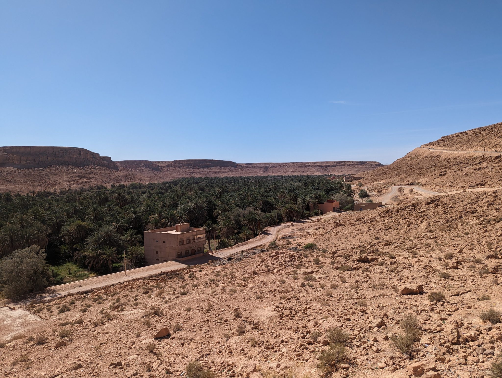 The Sahara Desert - Travelling Minions