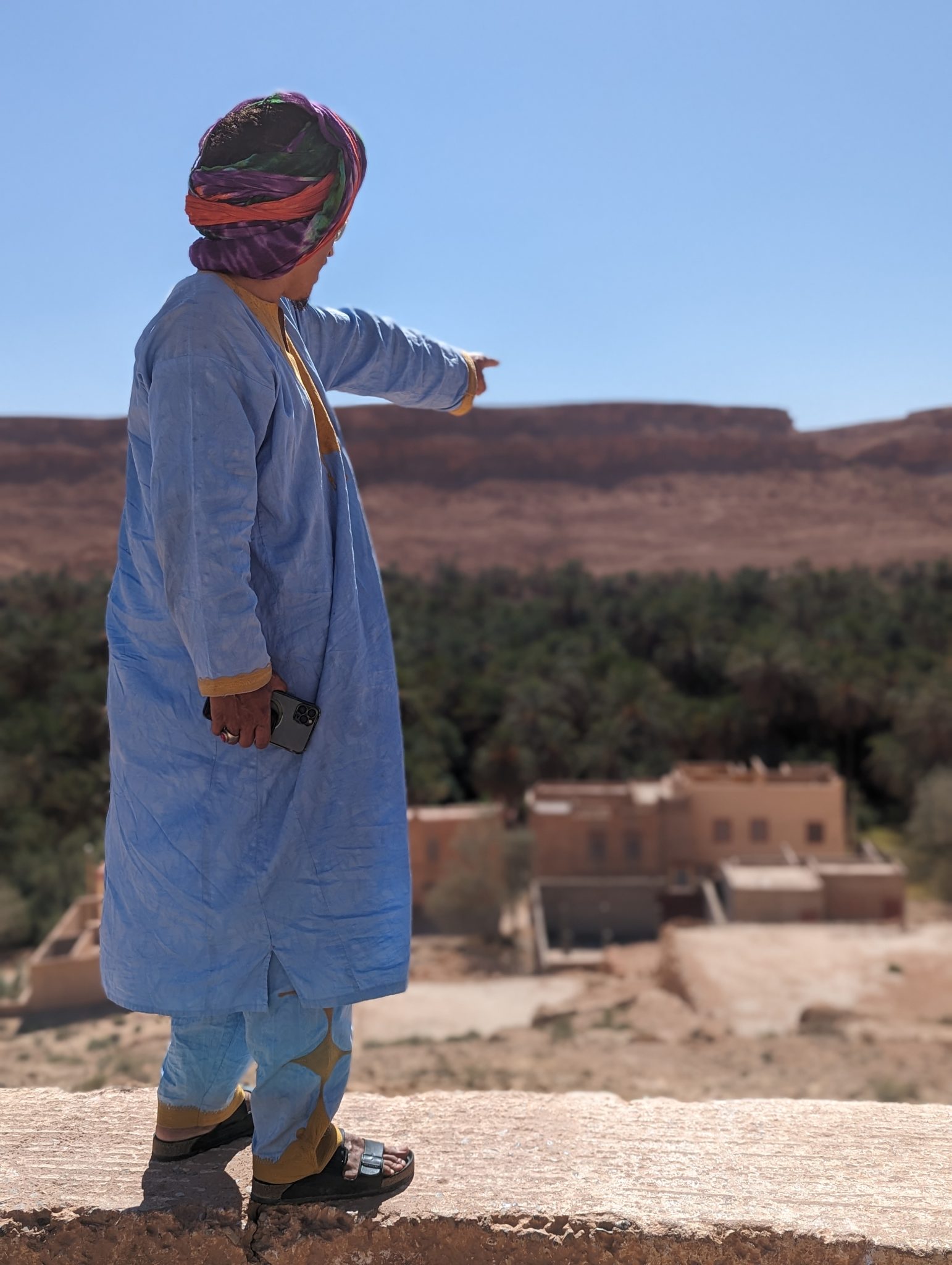 The Sahara Desert - Travelling Minions