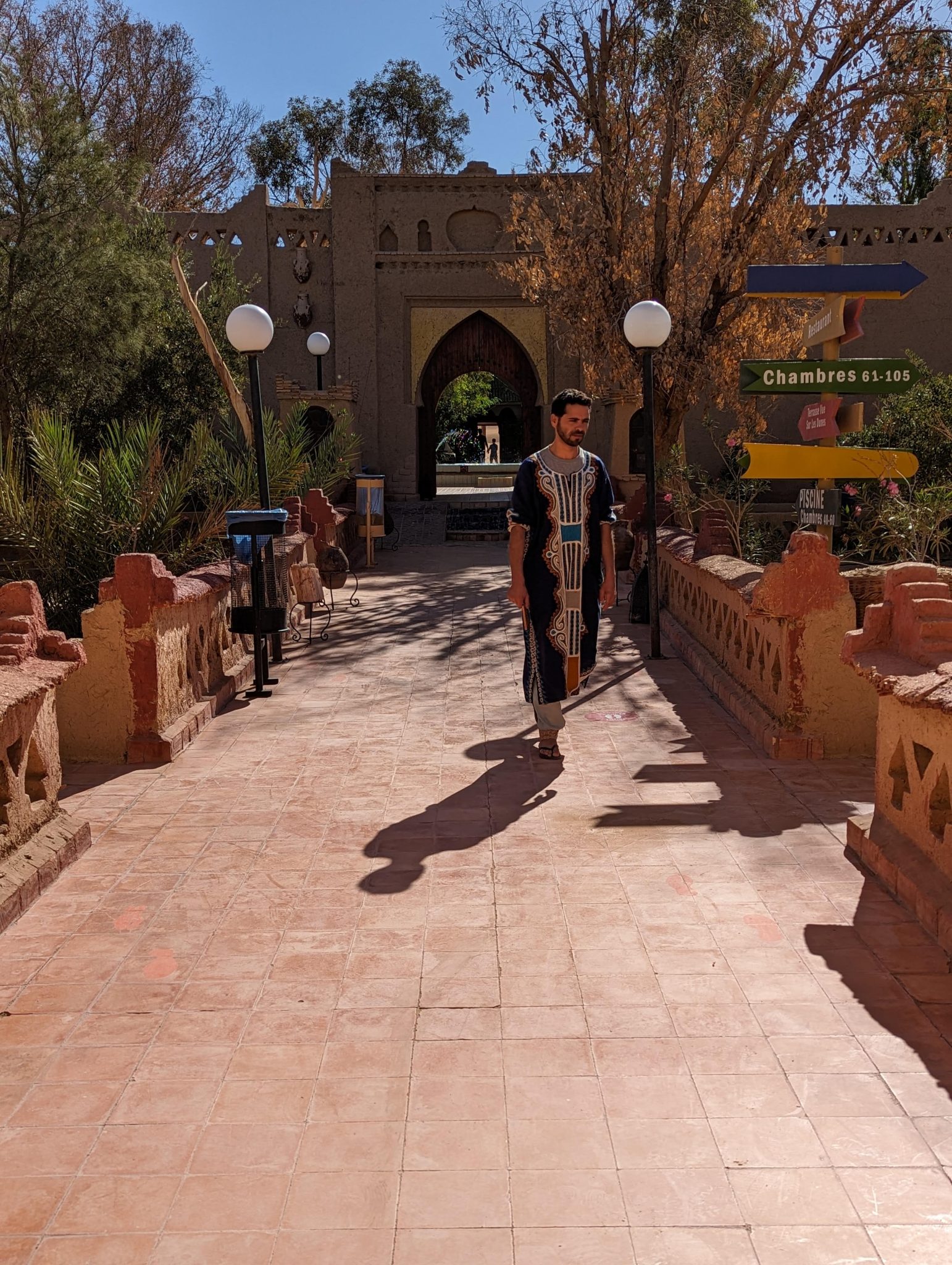 The Sahara Desert - Travelling Minions